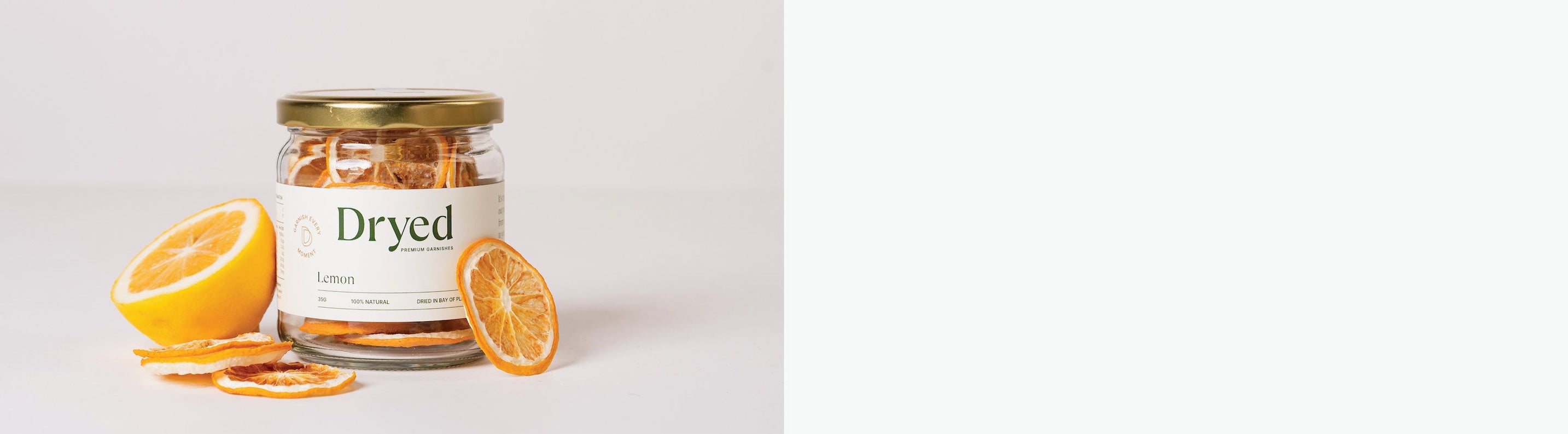 Dryed – PAPER PLANE