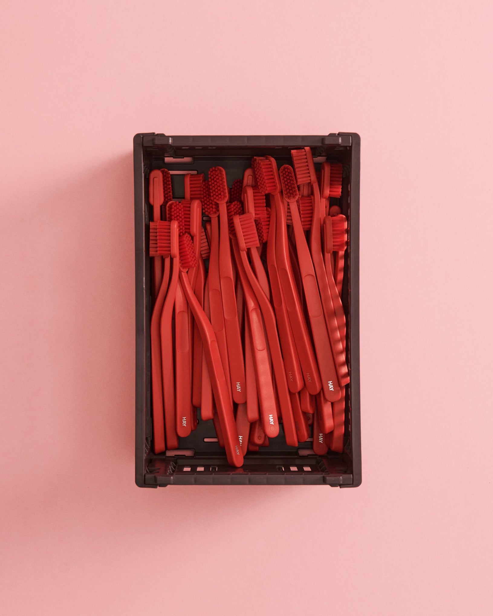 HAY | Tann Toothbrush - Red | Shop NZ Stockist Online – PAPER PLANE